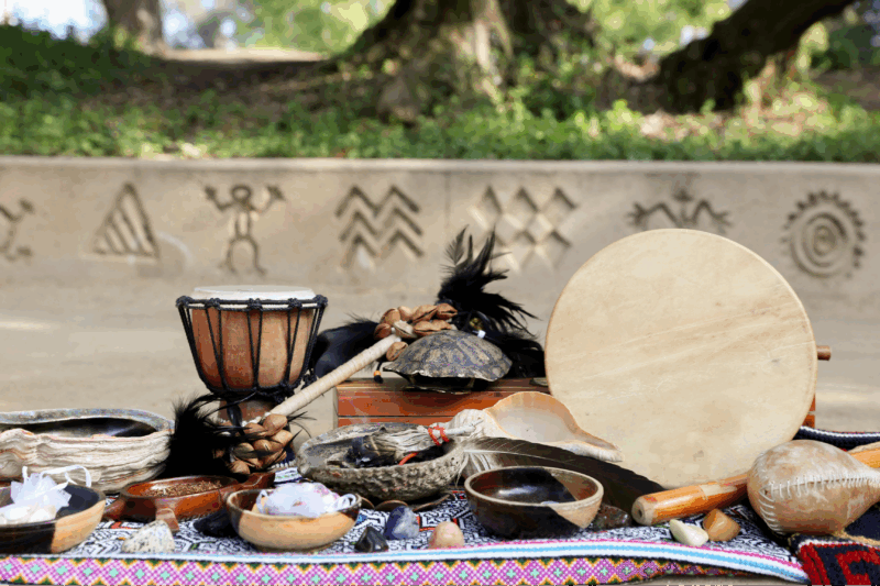 Indigenous Social Determinants of Health - Seven Directions Indigenous ...